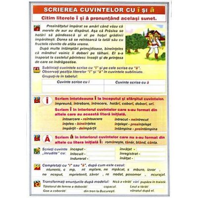 Scrierea corecta a cuvintelor care contin i si a \ Pronumele (DUO ...
